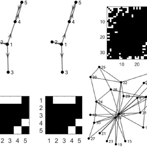 Different Network Structures And Their Corresponding Adjacency
