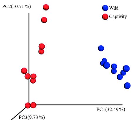 Principal Coordinate Analysis Pcoa Plot Of Fecal Microbiota Samples