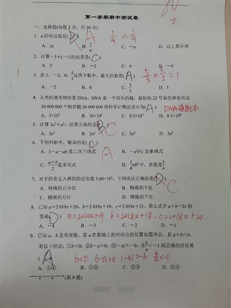 Exam Object Detection Model By Hqu