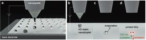 On Demand Direct Printing Of Nanodiamonds At The Quantum Level Innovation Wing