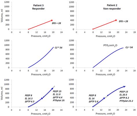 Implementation Of A Short Two Peep Step Procedure In Two Patients With Download Scientific