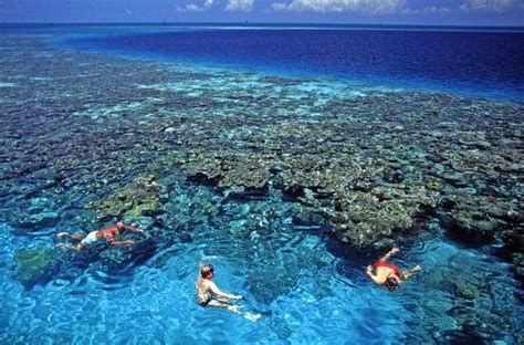 Cancun Also Boasts Terrific Access To The Second Largest Barrier Reef