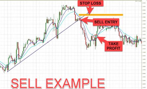 Create Your Forex Expert Advisor For Mt And Mt Stock Trading With My Strategy By Vultman Fiverr