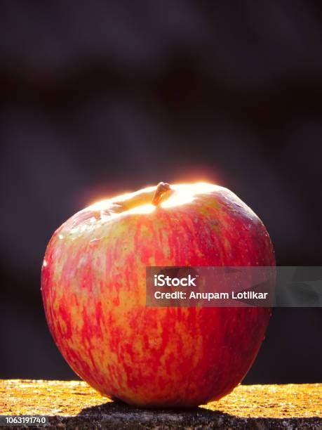 단일 신선한 익은 빨간 색된 Unpeeled 사과 표면에 따뜻한 햇빛 반사 반짝 하 고 그것에 빛나는 저녁 물 방울과 0명에 대한 스톡 사진 및 기타 이미지 Istock