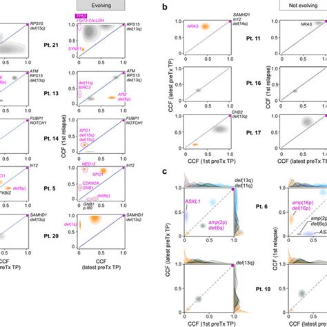 Subclonal Genetic Evolutionary Dynamics In The Discovery Cohort A Download Scientific Diagram
