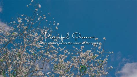 흐린 하늘을 바라보며 차분한 하루 보내기 좋은 피아노 음악 🌤️ Youtube