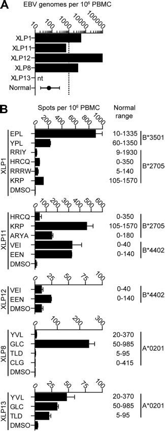Ebv Virus Loads And Ebv Specific Cd8 T Cell Responses In Pbmcs From 5 Download Scientific