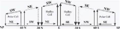 9 Tri Cellular Circulation Obviously It May Be Concluded That Between Download Scientific