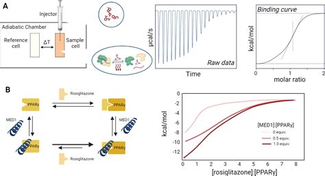 Biophysical Assays For Investigating Modulators Of Macromolecular