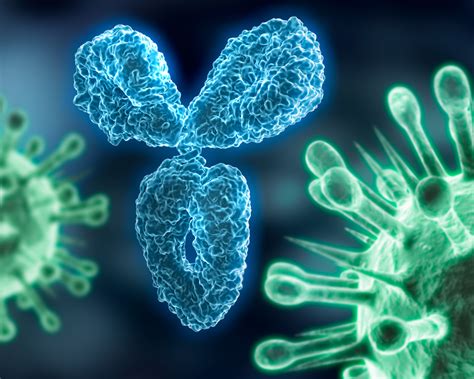 Herpes Simplex Virus Gd Antibody The Native Antigen Company