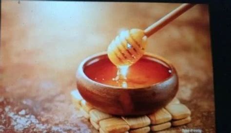Organic Manuka Honey At ₹ 600kg Manuka Honey In Jamnagar Id