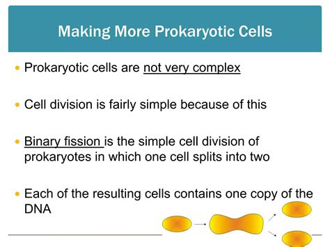 Cell Reproduction Pptx