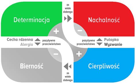 Kim Jestem Metoda Core Quadrant Sposób Na Samopoznanie