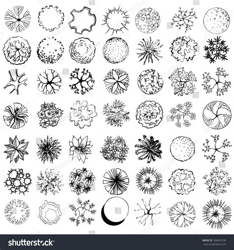 Planting Plan Symbols 19 659 Images Photos Et Images Vectorielles De