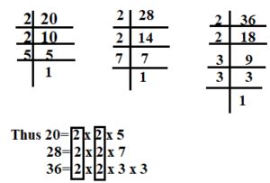 Master LCM And HCF Easy Tricks Examples Practice Questions Math Mitra