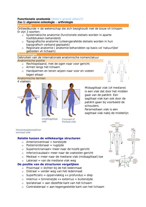 Functionele Anatomie Zso 1 Functionele Anatomie Fotos Grand Atlas