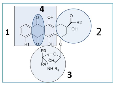 Jois Review Questions Flashcards Quizlet