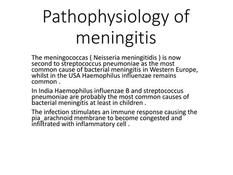 Pathophysiology Of Meningitis Nursing Pptx