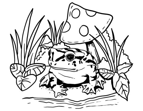 Realistic Tree Frog Coloring Pages