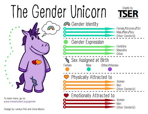Masculinity And Femininity Stereotypes