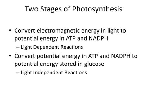 Photosynthesis Light Dependent Reactions Pptx Chemistry Science