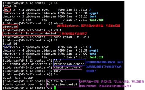 一文掌握linux权限