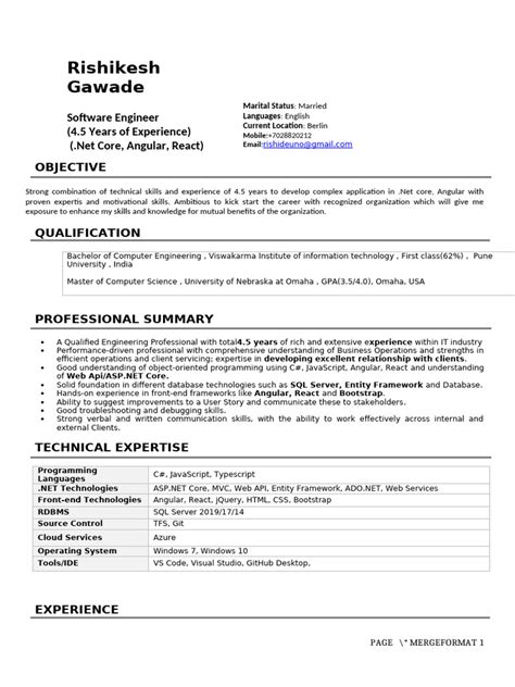 rs rishi pdf entity framework computer programming