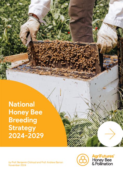 National Honey Bee Breeding Strategy 2024 2029 Agrifutures Australia