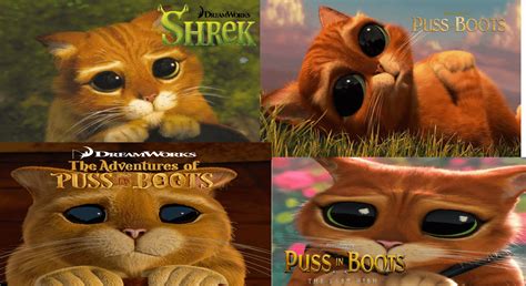 Puss In Boots Eyes Kitten Dulcinea Dreamworks Animation Wiki