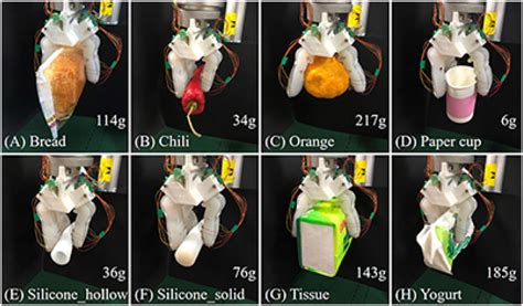 Deformable Objects Were Used In Classification Experiments Including