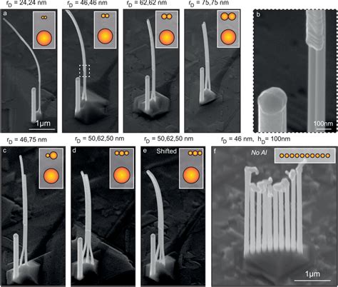 sem micrographs of parallel nanowires in complex configurations all