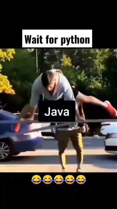 Python Programmer Attitude Short Video Whatsapp Statusshort Youtube