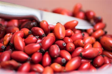 Pastă Gem De Măceșe Kissthecook