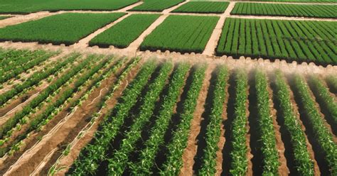 apex powered on linkedin apexcore agriculture machine learning