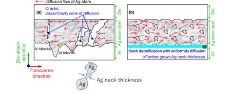 A Schematic Description Of The Relationship Between Ag Atom Diffusion Download Scientific