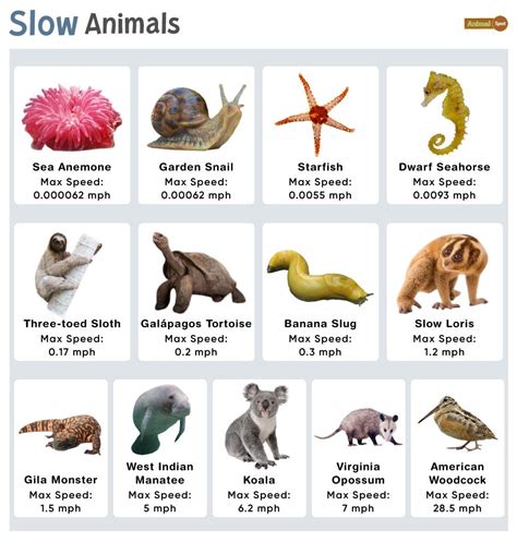 My Kindle Is Very Slow How Can I Speed It Up