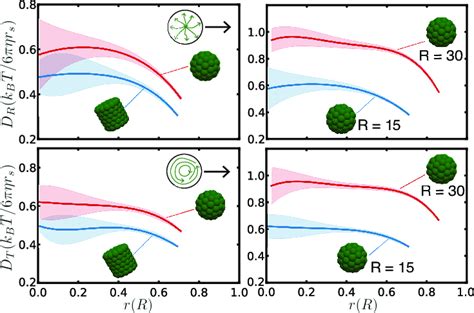 Short Time Diffusion Coefficients For Left Cylindrical Particles