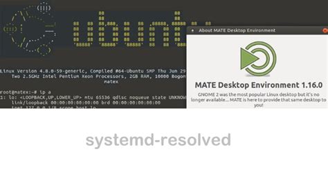 ubuntu network manager systemd resolved unblog tutorials