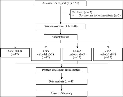 Flowchart Of The Study Procedure Download Scientific Diagram