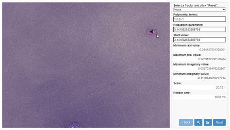 i found the mandelbrot set in a different fractal r mathematics