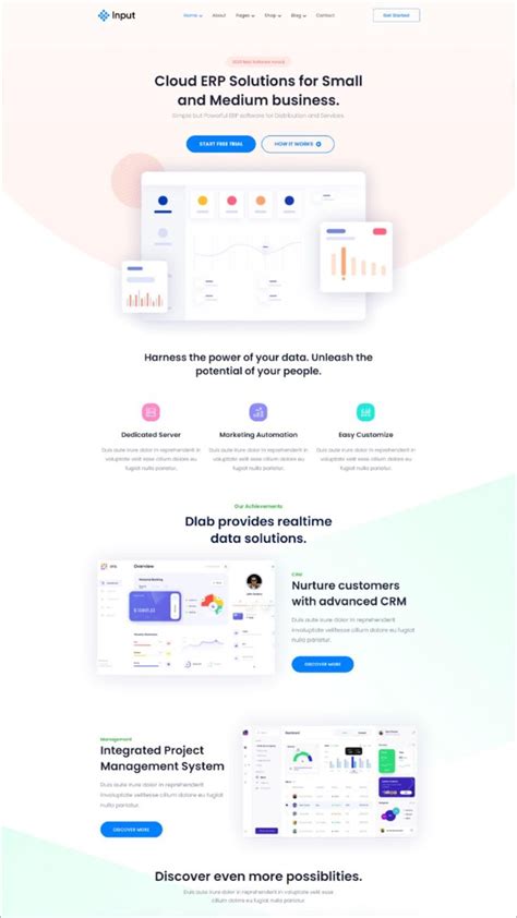 Input Data Science And Analytics Saas Wordpress Theme Stylelib