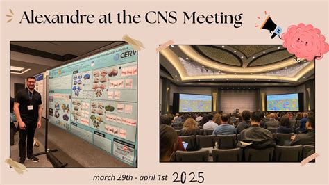 Alexandres Project Presented At The Cognitive Neuroscience Society Meeting Speechneurolab