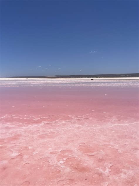 와우호주 2박3일 칼바리 국립공원 핑크 호수 And 피나클스 별빛 투어