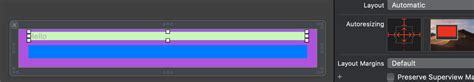Ios View Controller Not Respecting Xib Autoresizing Mask Stack Overflow
