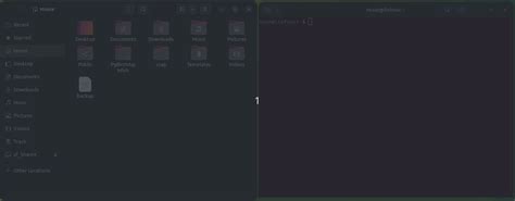 Mix And Match Terminal With Nautilus File Manager In Linux