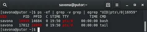 Exec Command Process Replacement And Redirection In Bash Putorius