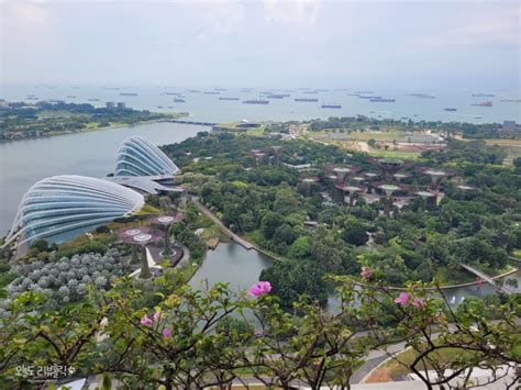 아이와 함께하는 싱가포르 호텔 추천마리나베이샌즈호텔 룸컨디션 마리나베이샌즈호텔뷰 하버뷰 트리쇼 네이버 블로그