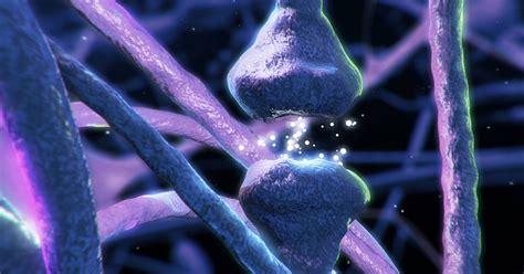 Synthetic Neurons Open The Door For More Intelligent Robots