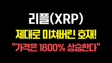 리플 진짜 미쳤습니다 가격 상승 안하면 떠나겠습니다 대신 내용을 꼭 이해하세요 리플코인 리플전망 리플호재