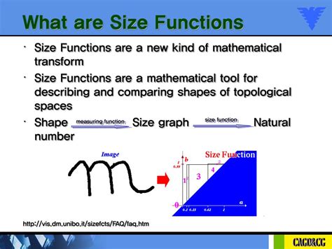 PPT Size Function PowerPoint Presentation Free Download ID